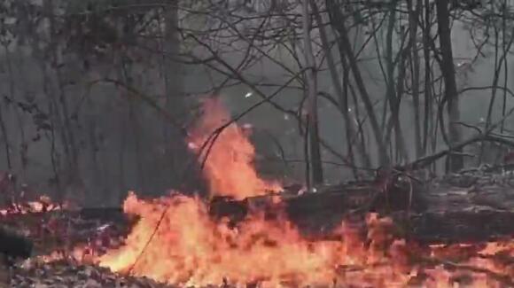 See it: Firefighters continue to battle massive wildfire in New Jersey ...
