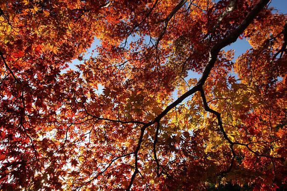 Brookville Daily Weather Forecast - NewsBreak