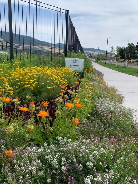 Understanding The Prairie Ghost's Parenting Strategy in Montana - NewsBreak