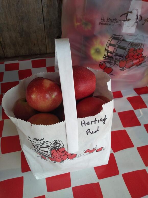 Whatever Happened to Red Delicious Apples? - NewsBreak