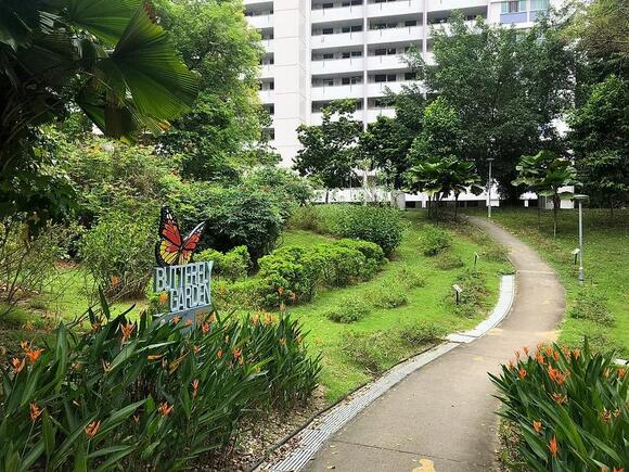 How to Start a Butterfly Garden: Creating a Sanctuary for Beautiful ...