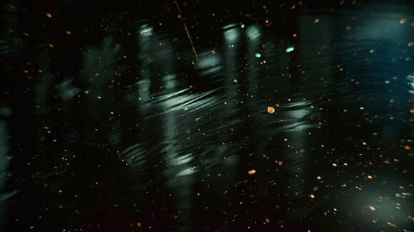Best Time and Place to See Fireflies Light Up a Forest - NewsBreak