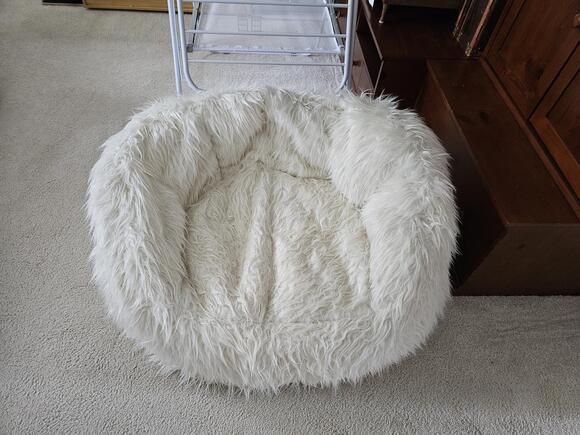 🎁 Freebies Up for Grabs in Cary — Furniture, Kids’ Gear & More - NewsBreak