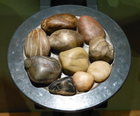 The Dinosaur That Ate Stones: Uncovering the Mystery of Gastroliths ...