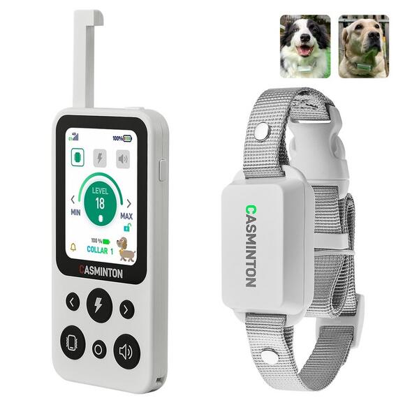 Casminton Announces Innovative Dog Training Technology Integrating ...