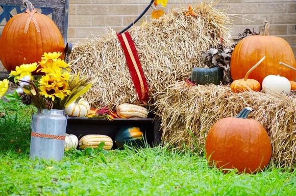 Get Ready For Fun At Grapevine's GrapeFest Wine Festival - NewsBreak
