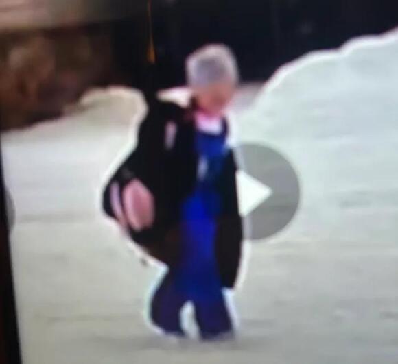 Girl missing in Zimmerman as search efforts increase Wednesday night ...