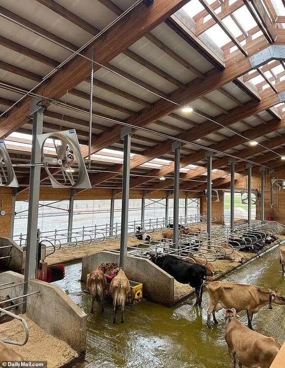 The TRUTH about Ballerina Farm... and what it's really like behind the ...