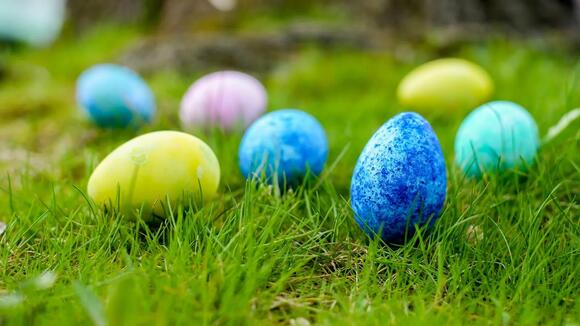 Easter Events on the Treasure Coast: Full Guide - NewsBreak