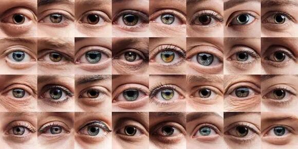 What Is the Rarest Eye Color? Discover Why Only 2% of People Are Born ...