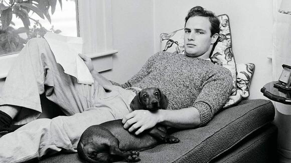Marlon Brando Net Worth 2025: The Untold Story Behind The Godfather's ...