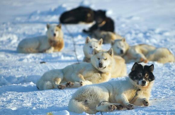 Alert, Canada: The Tiny Canadian Outpost That’s Considered The ...