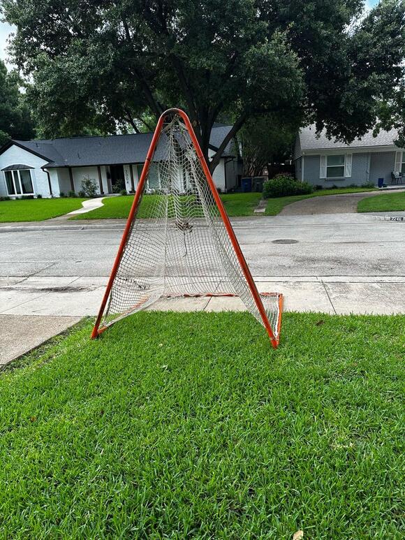 🎁 Freebies Up for Grabs in Dallas — Furniture, Plants & More - NewsBreak