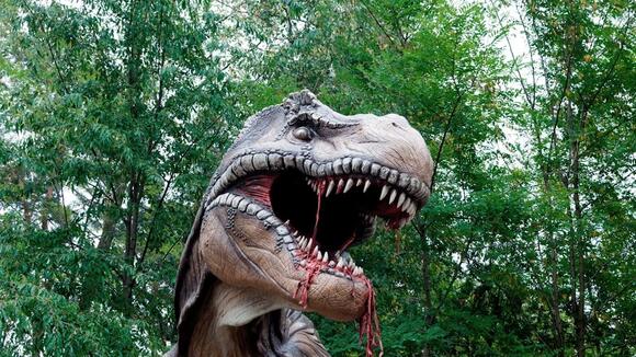 9 Fascinating Facts About Dinosaur Metabolism That Will Amaze You ...