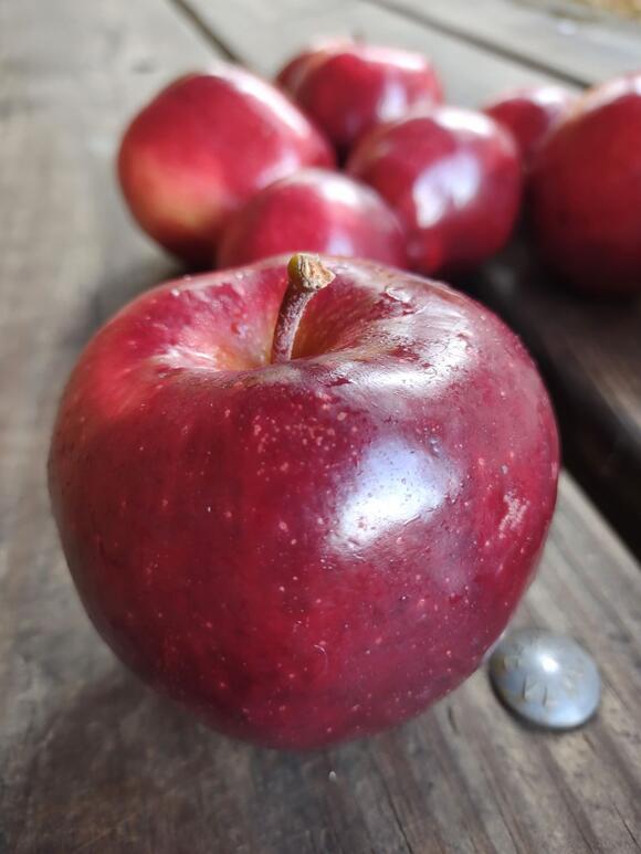 Whatever Happened to Red Delicious Apples? - NewsBreak