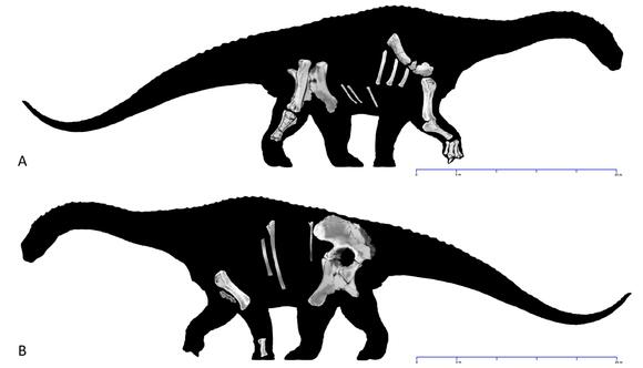 Top Ten Dinosaur Discoveries of 2025 - NewsBreak
