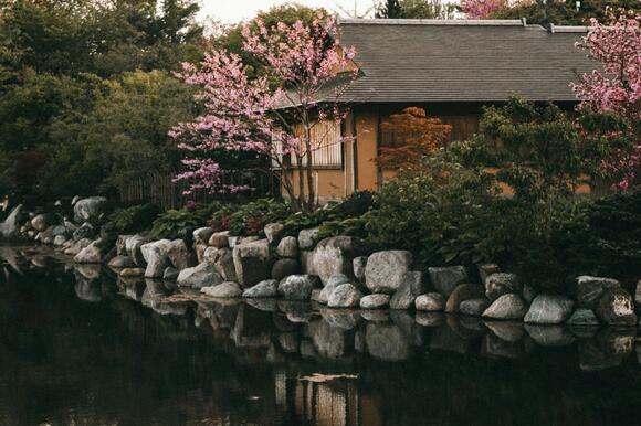 Meijer Gardens Makes National Winter List - NewsBreak