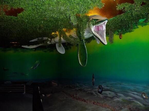These 6 Prehistoric Predators Were Masters of Camouflage - NewsBreak