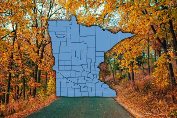 Minnesota's 2025 Fall Leaf Color Tracking Map Is Live Now! - NewsBreak
