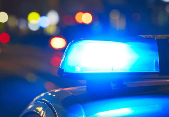 Medical Emergency Causes Driver to Veer Off Road, Hitting and Seriously ...