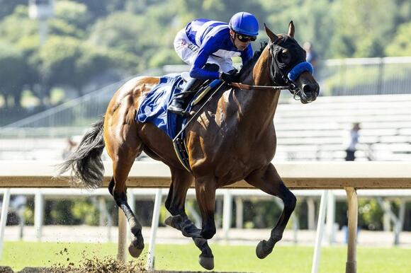 With 3 different winners in Triple Crown, summertime racing promises ...