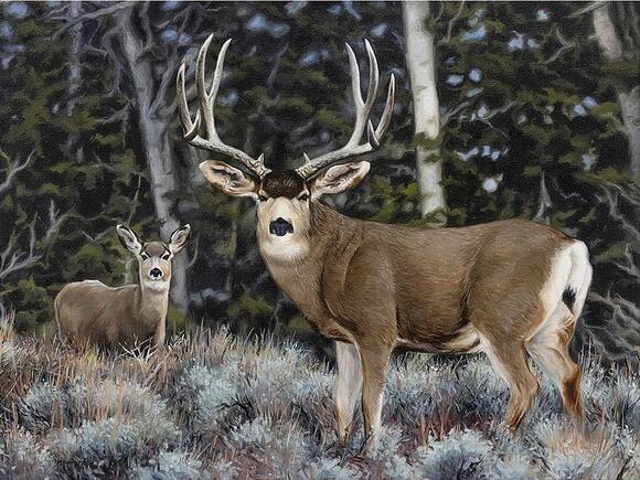 Wyoming Game And Fish Gears Up For 2026 Planning - NewsBreak