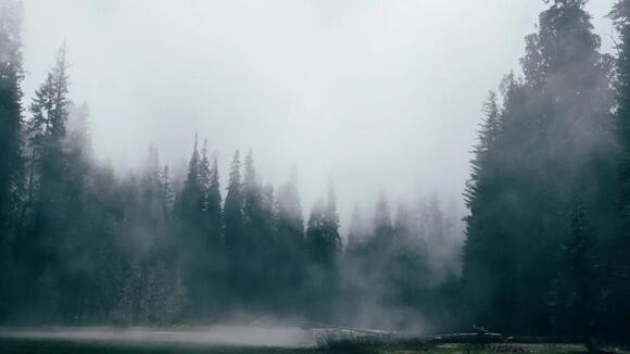 8 Extraordinary Natural Phenomena That Defy Simple Explanation - NewsBreak