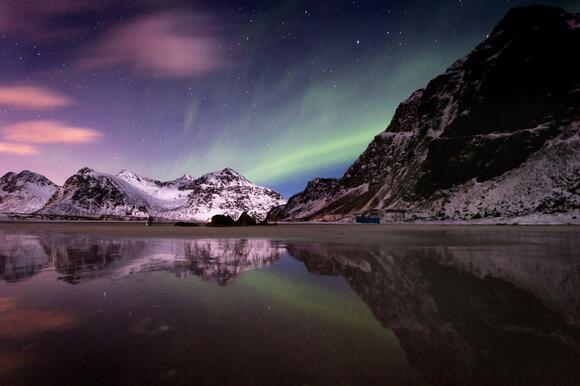 The Effect of Space Weather on Earth’s Wildlife: How Solar Flares and ...