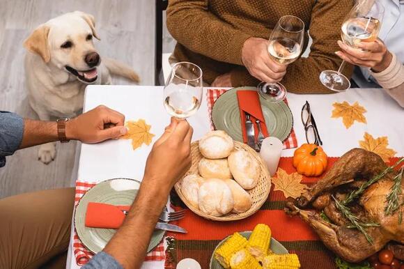 Dad Tells Kids They Can’t Bring Pit Bull to Thanksgiving Dinner 4 Hours ...