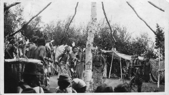 The Role of Bison in Native American Spiritual Traditions - NewsBreak