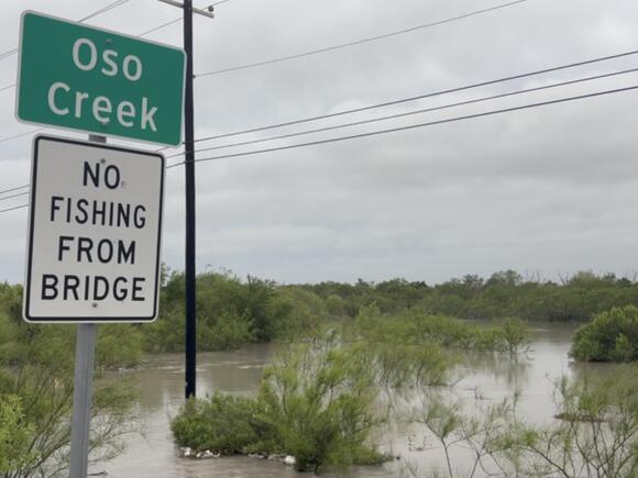 Southside flooding hits as Oso Creek nears major flood stage - NewsBreak