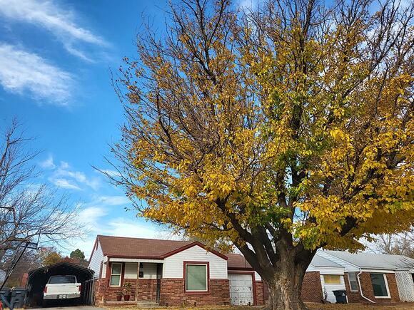 Amarillo’s 2025 Fall Weather Forecast and First Snow Outlook - NewsBreak