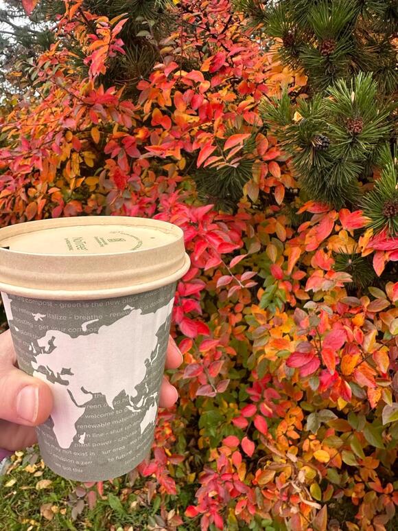 Current Cravings: A black coffee drinker’s guide to buying a PSL in Anchorage - NewsBreak