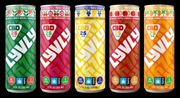 Stillwater Brewer Lift Bridge Sued by Joint Venture Partner Over ...