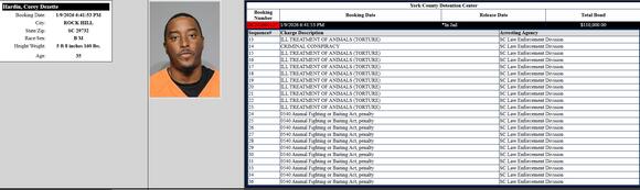 Rock Hill Man Arrested by SLED on Multiple Dog Fighting and Animal ...