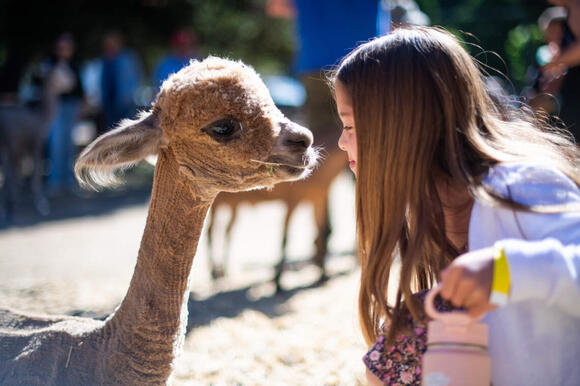 Open Farm Days Weekend returns to SLO County. Take a tour and get an ...