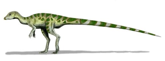8 Ways Dinosaurs Adapted To Survive And Thrive In Harsh Ancient ...