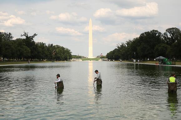 Trump promised clear water. The reflecting pool went green. - NewsBreak