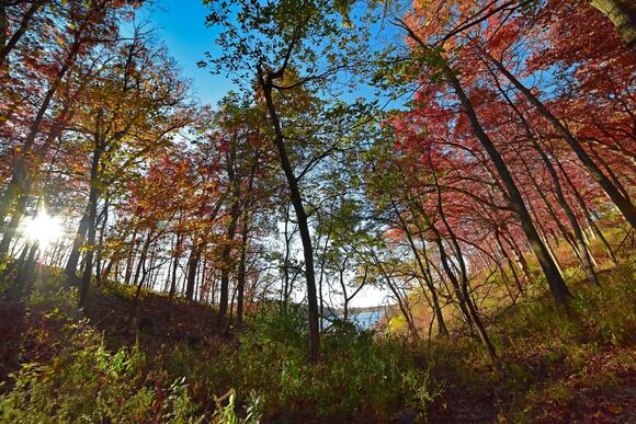 Check Out Some Beautiful Fall Photos From Iowa in 2025 [GALLERY ...