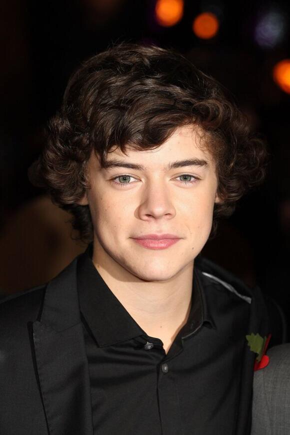 Expert breaks down Harry Styles' hair evolution as he announces tour ...