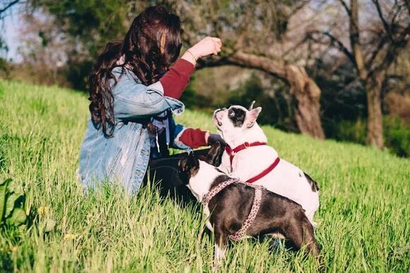 Why Some Dogs Cry When Their Owners Hug Strangers – The Sad Truth ...