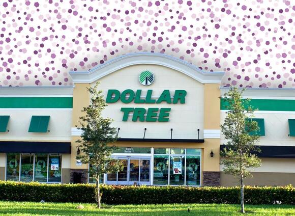 11 Best New Dollar Tree Backyard Finds Under $5 - NewsBreak