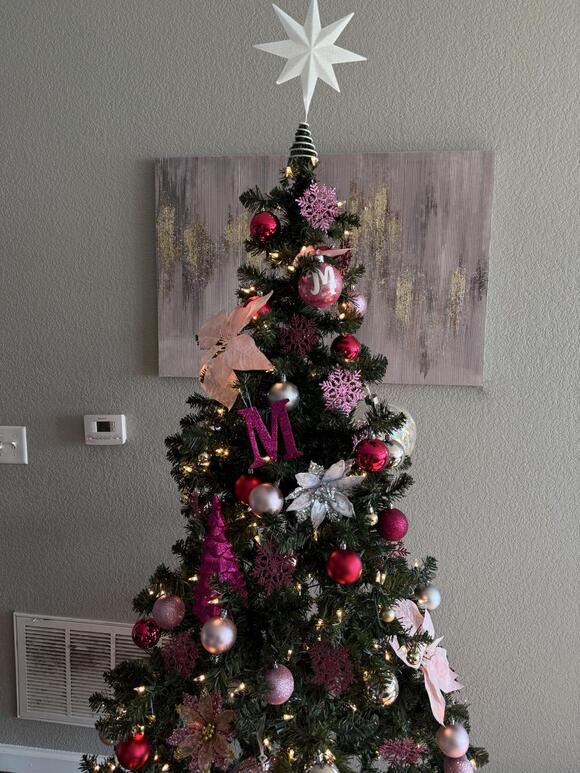 What decorations you can - and can't - recycle after Christmas - NewsBreak