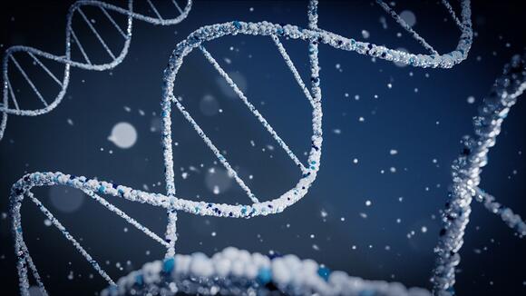 521 Years at a Time: How DNA’s Half-Life Dooms Dino Cloning Dreams ...