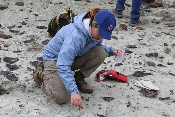 7 Kids’ Shows That Turned Paleontology Into a Prehistoric Adventure ...