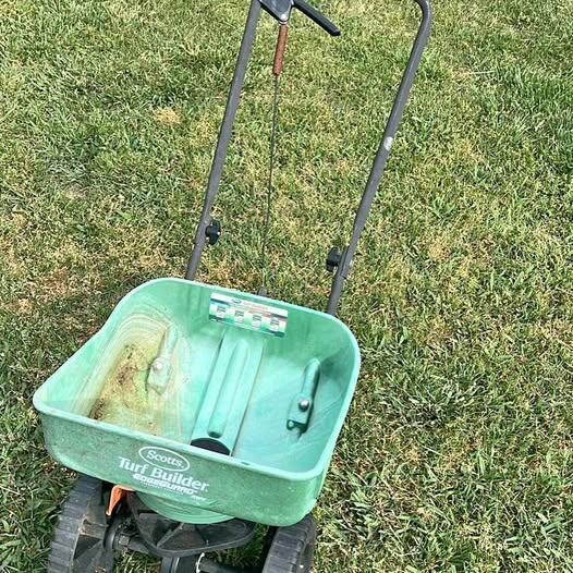 🎁 Freebies Up for Grabs in Clover — From Garden Gear to a Loving Pet ...