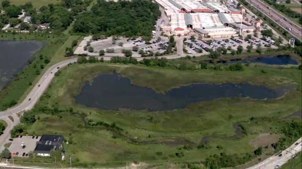 What was discovered during the search for Shafia Murad? - DuPage Safety ...