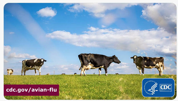 California Department of Public Health (CDPH) Reports 13 Confirmed ...