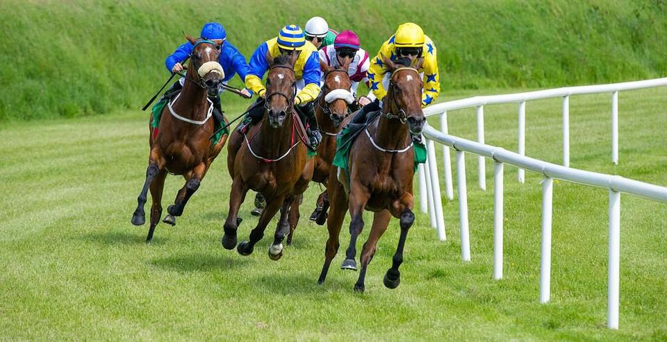 The 15 Most Famous Race Horses Throughout History - NewsBreak