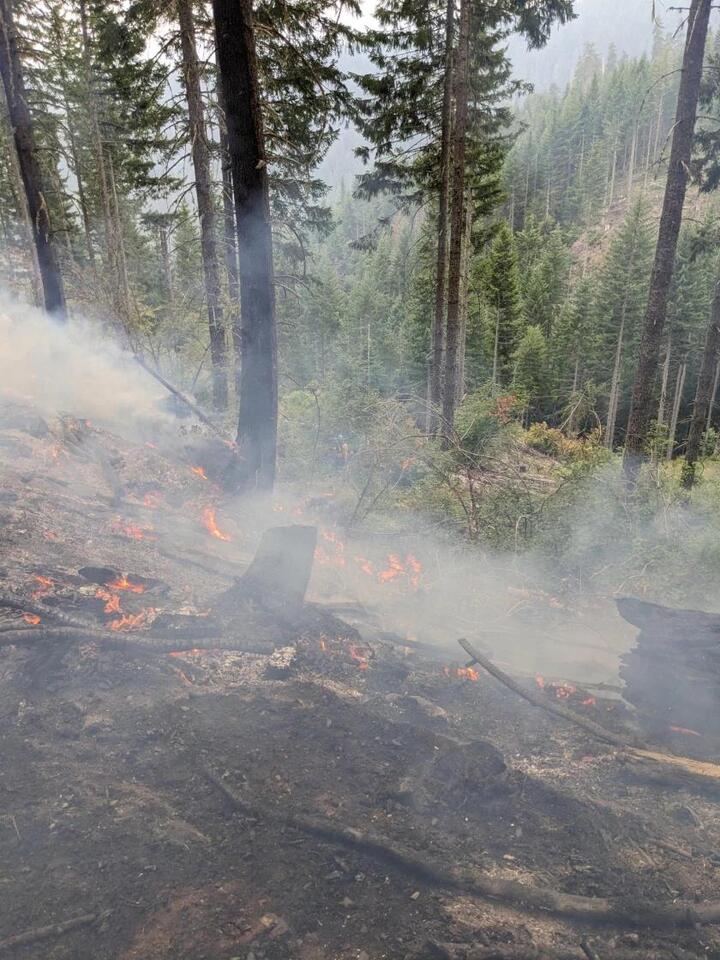 Firefighters increase containment of Oregon forest fires after weekend ...
